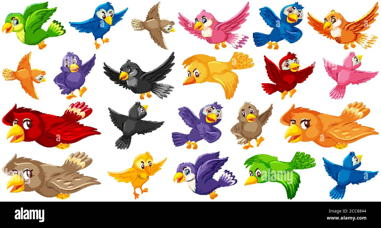 Set of bird cartoon character illustration Stock Vector Image & Art - Alamy