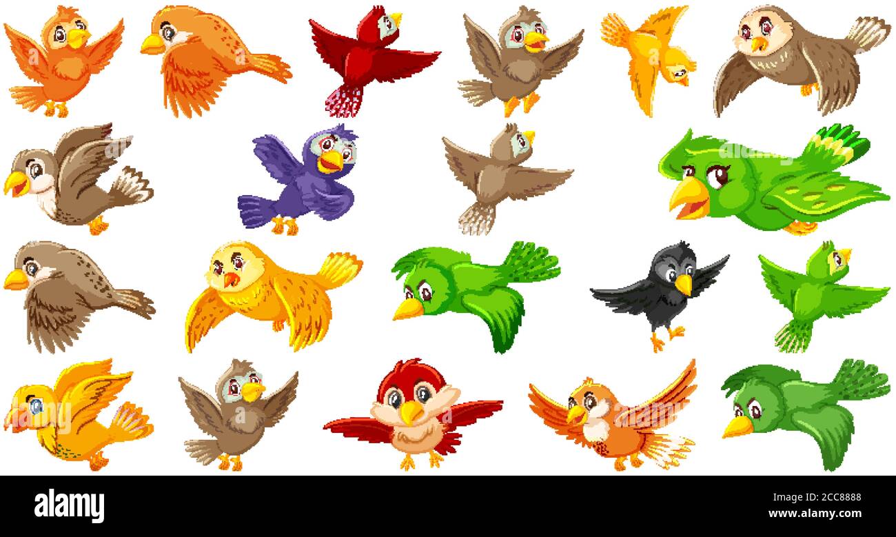 Set of bird cartoon character illustration Stock Vector Image & Art - Alamy