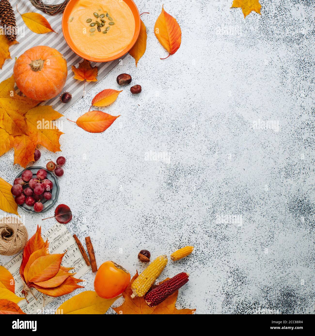 Frame of pumpkin soup, leaves and autumn decorations on white stone ...