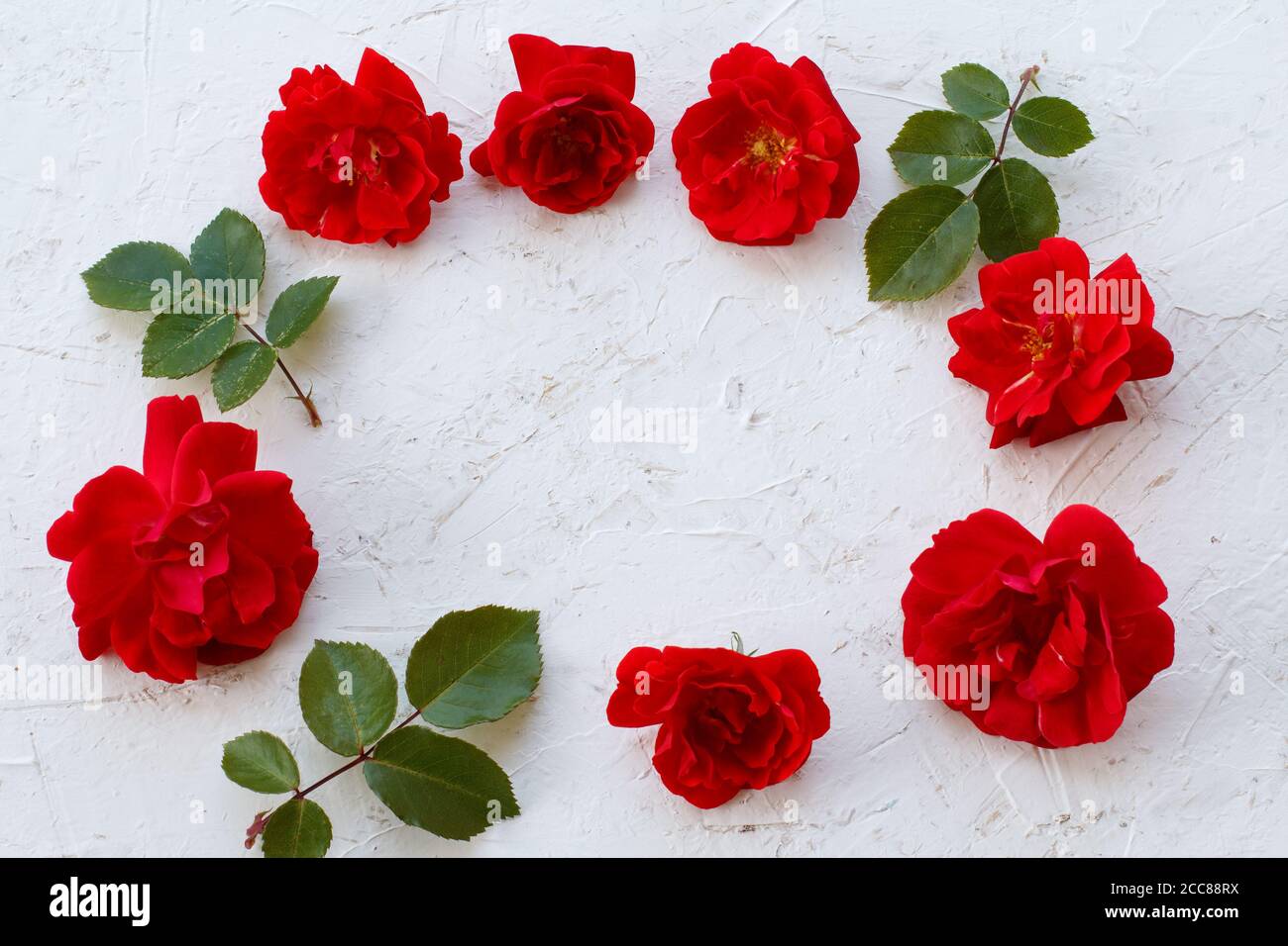 Buds of red roses and green leaves on the white structured background ...