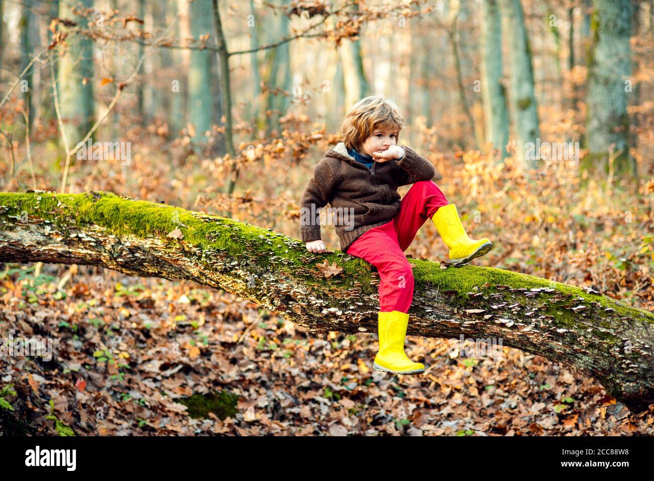 Kid in autumn forest. Child playing in Fall Leaves outdoor. Childhood ...
