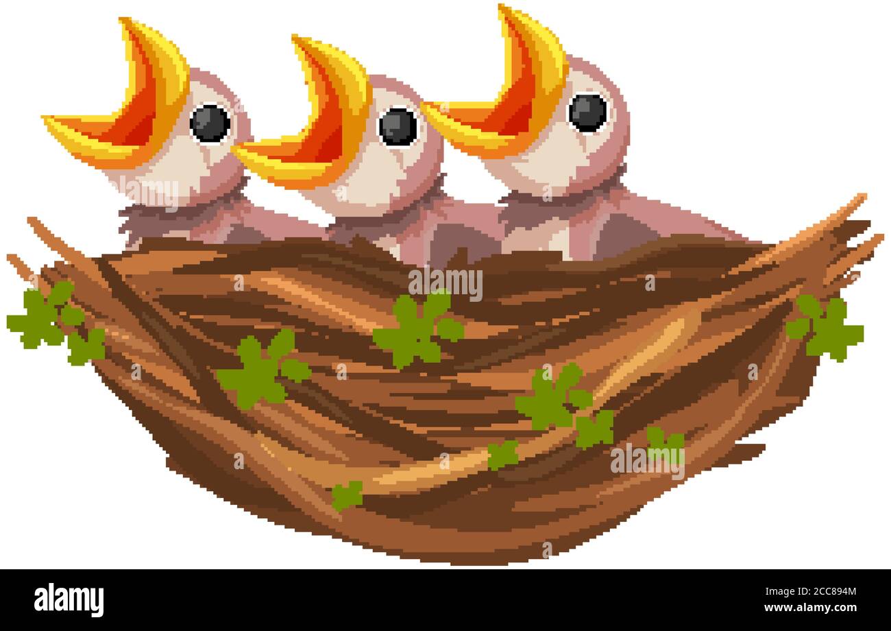 Baby Bird Nest Cartoon