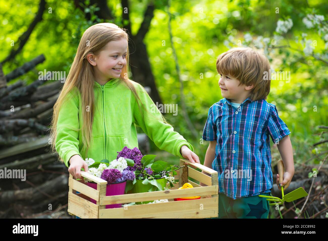 Group of children planting vegetable. Happy children farmers having fun ...