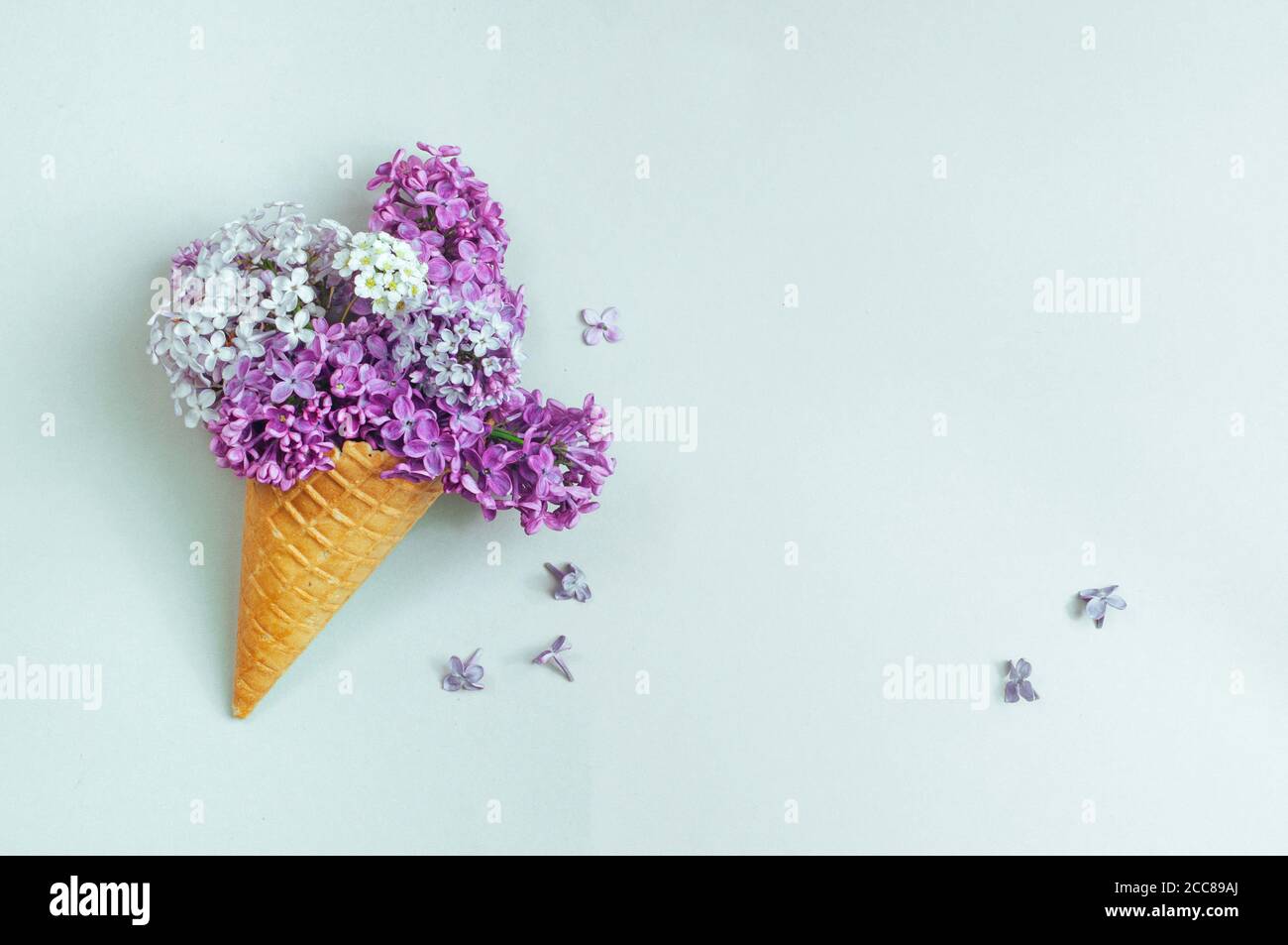 Waffle flower hi-res stock photography and images - Alamy