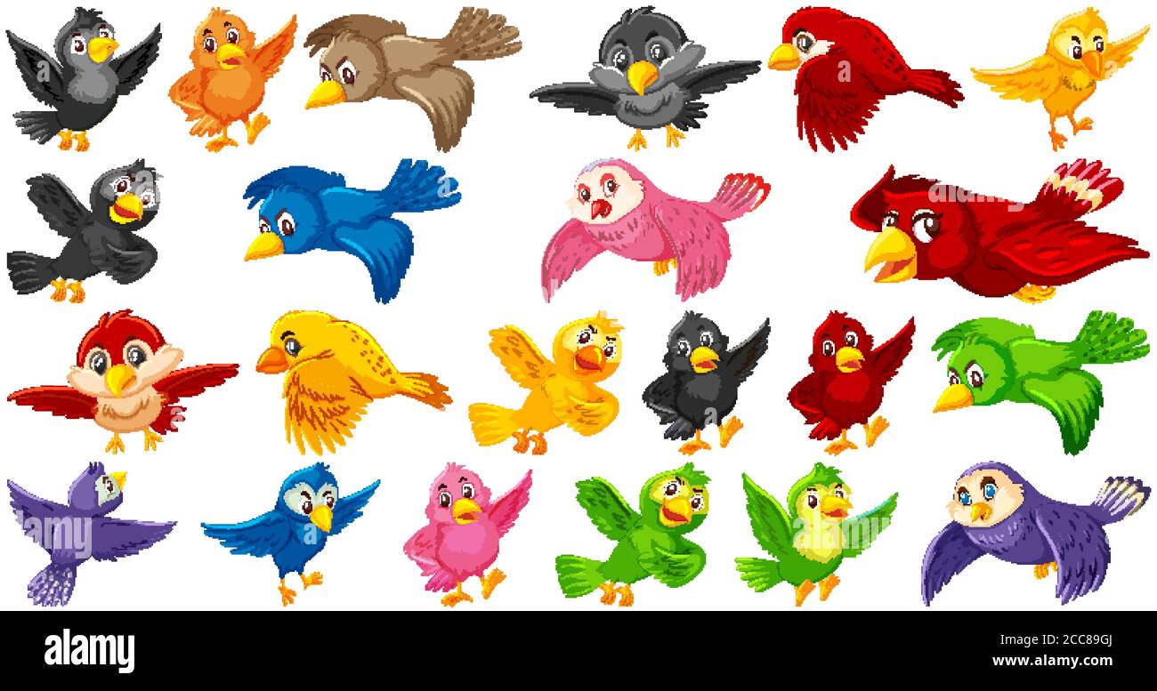 Set of bird cartoon character illustration Stock Vector Image & Art - Alamy