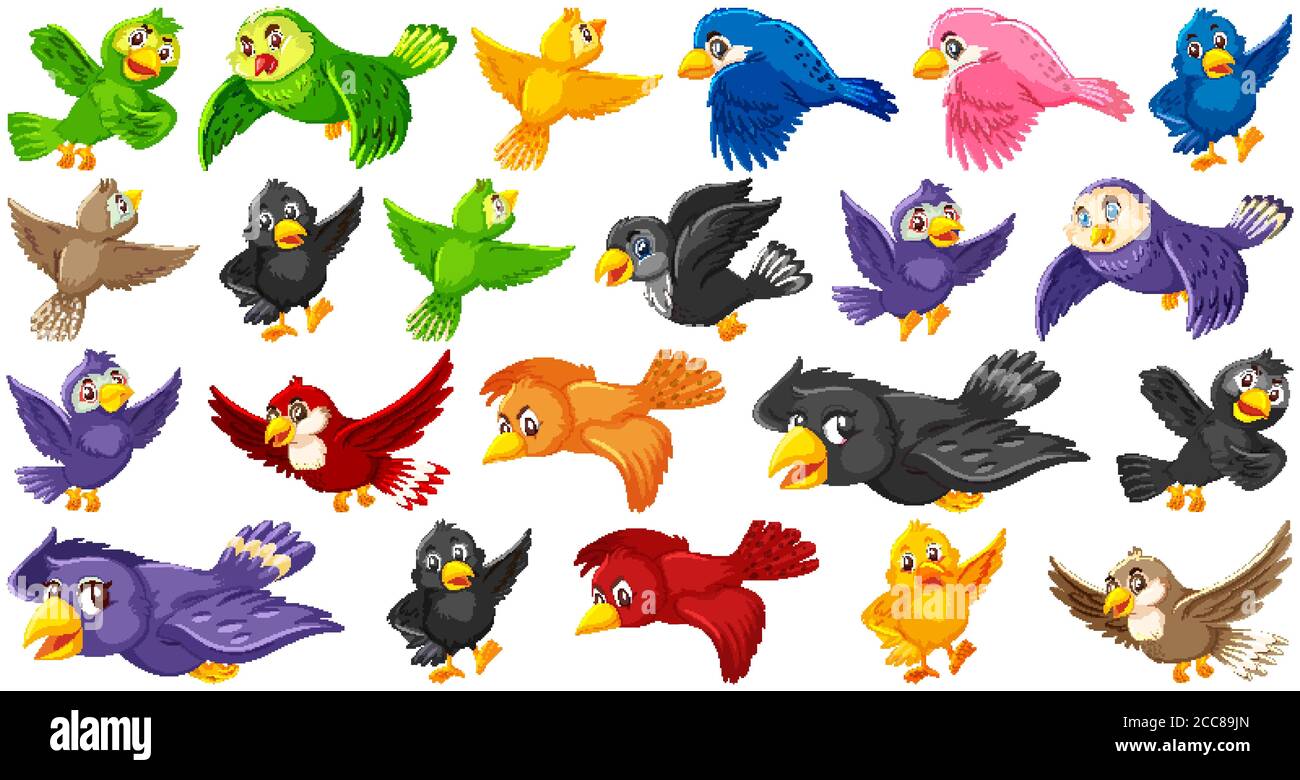 Set of bird cartoon character illustration Stock Vector Image & Art - Alamy