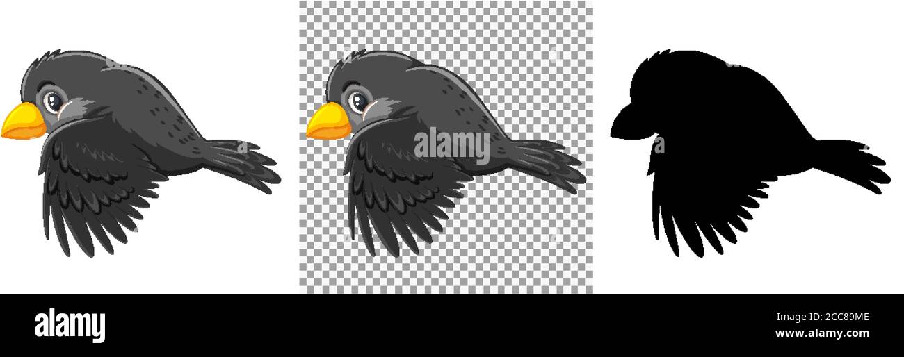 Set of bird character illustration Stock Vector Image & Art - Alamy