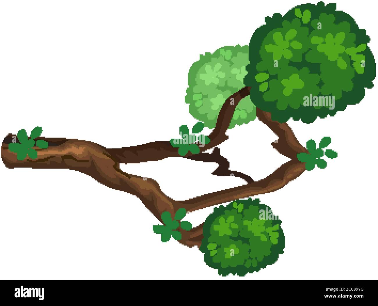 Isolated tree branch on white background illustration Stock Vector ...