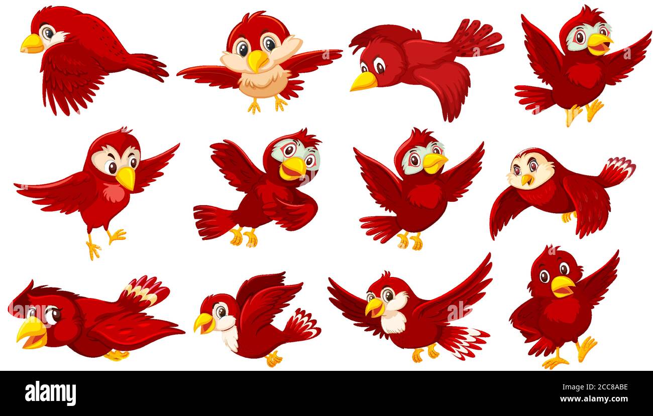 Cute red bird cartoon character illustration Stock Vector Image & Art ...
