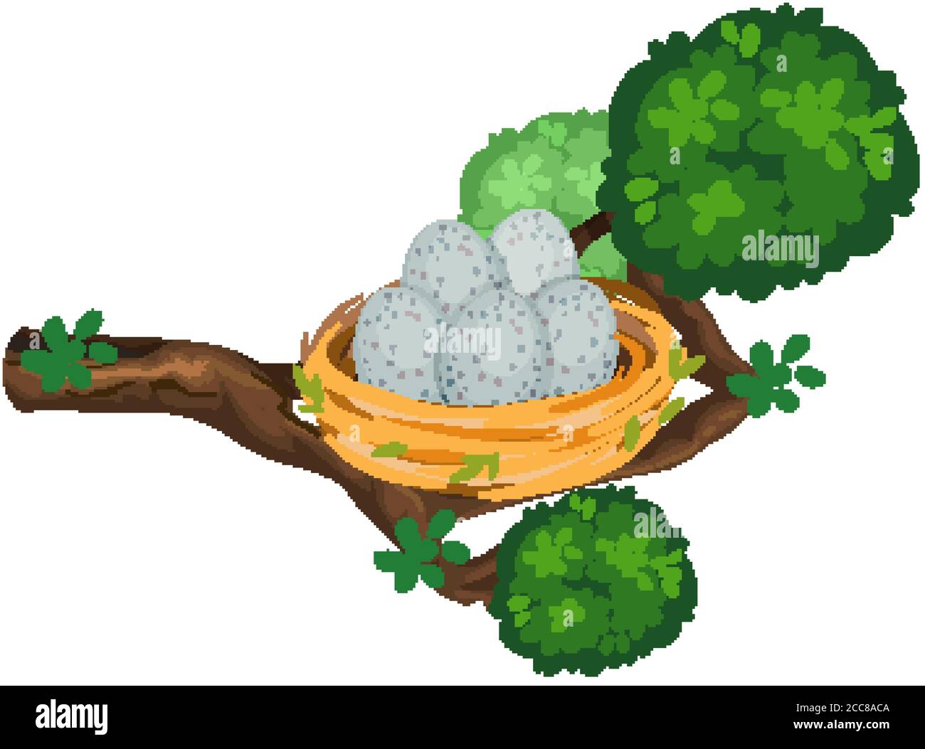 Eggs in the bird nest on tree branch illustration Stock Vector Image ...