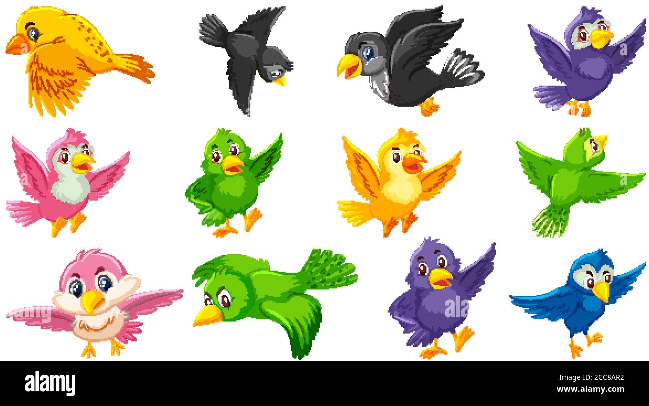 Set of bird cartoon character illustration Stock Vector Image & Art - Alamy