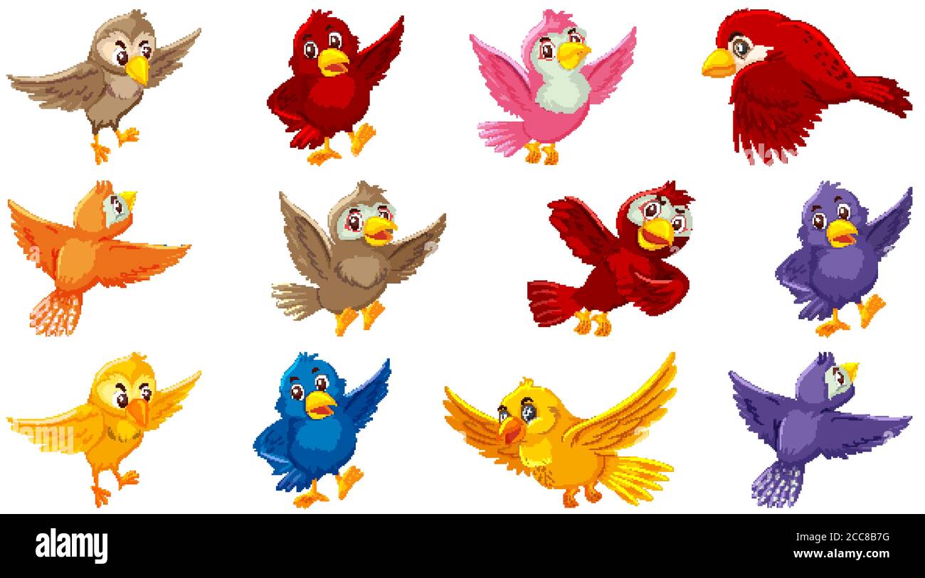 Set of bird cartoon character illustration Stock Vector Image & Art - Alamy