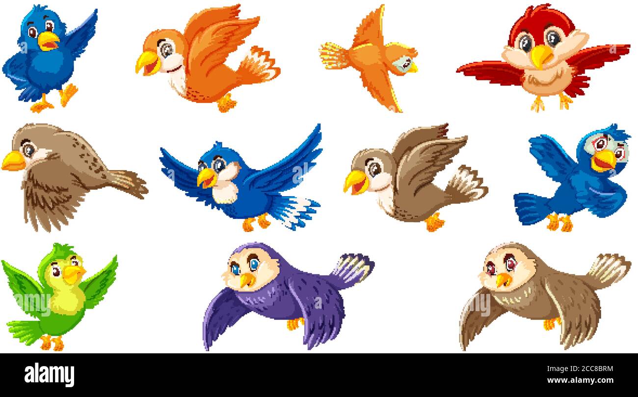 Set of bird cartoon character illustration Stock Vector Image & Art - Alamy