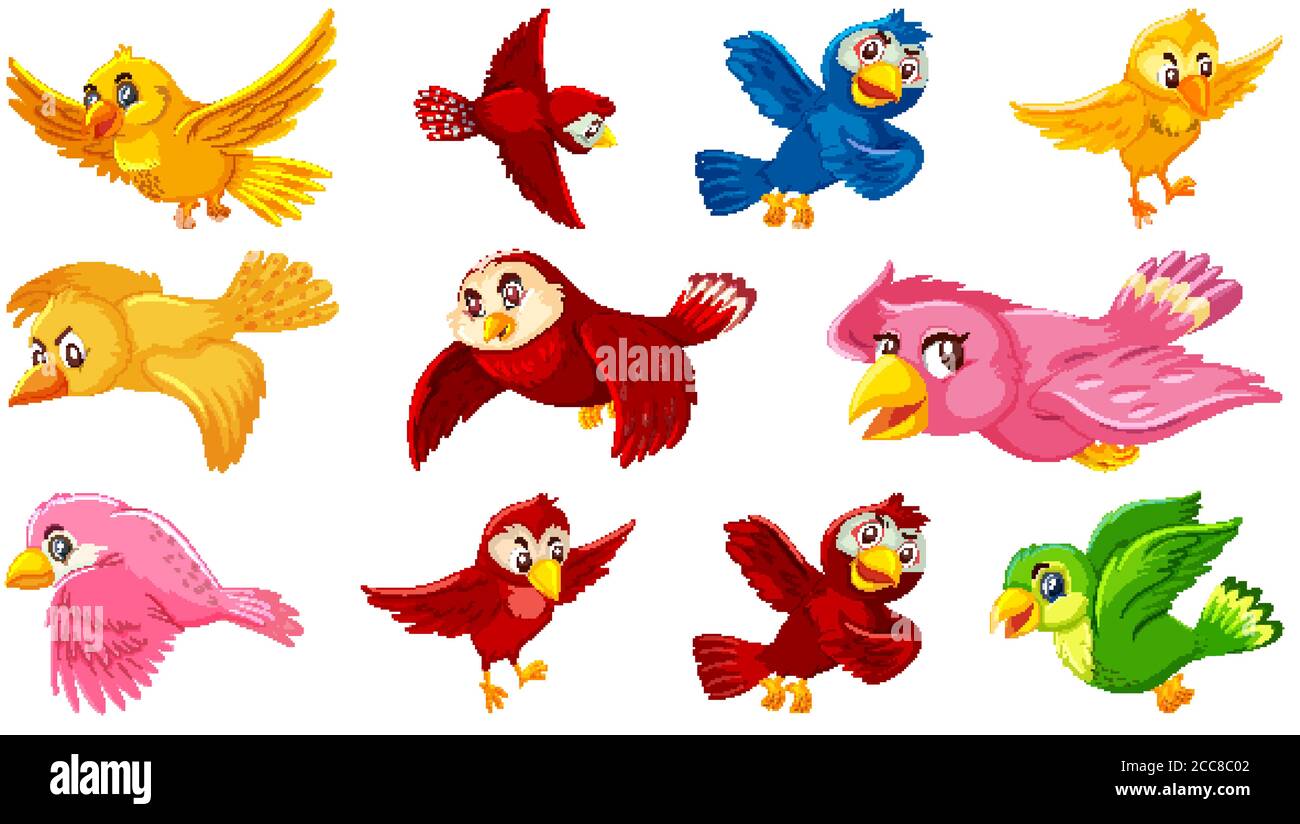 Set of bird cartoon character illustration Stock Vector Image & Art - Alamy