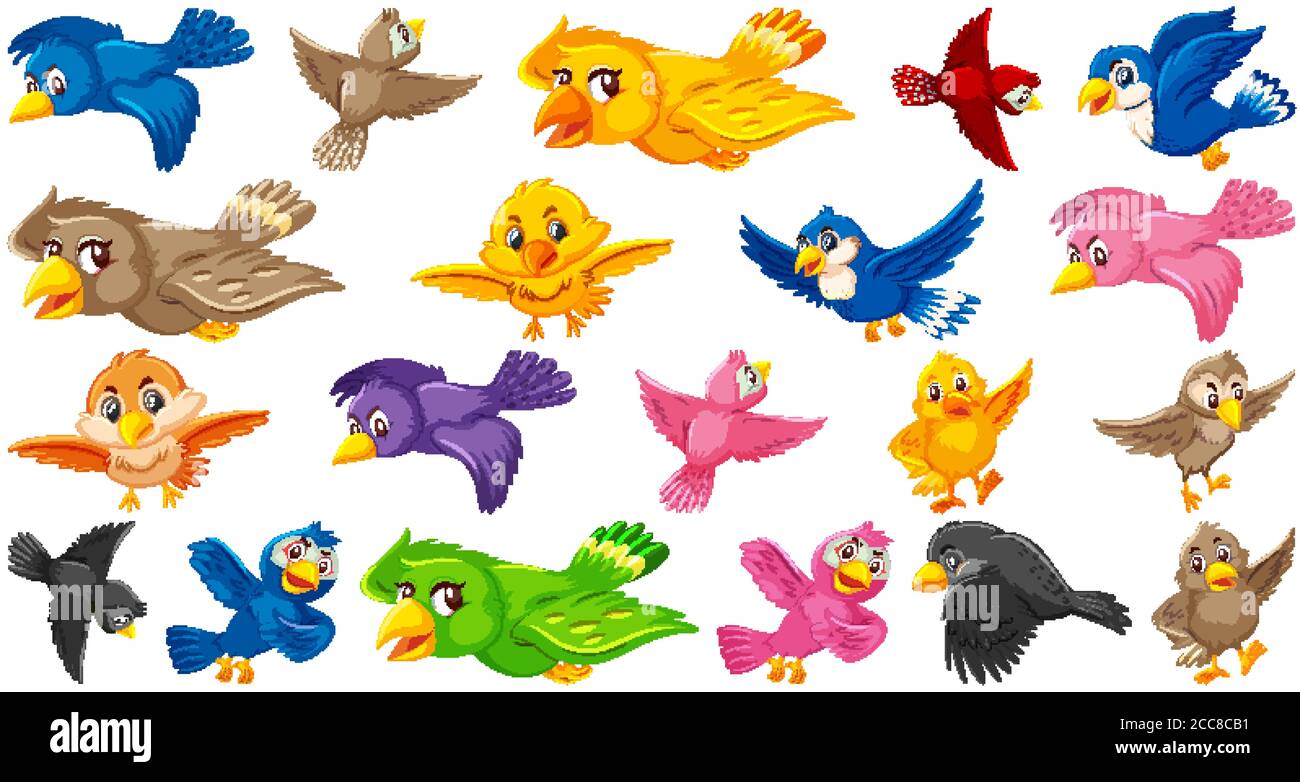 Set of bird cartoon character illustration Stock Vector Image & Art - Alamy