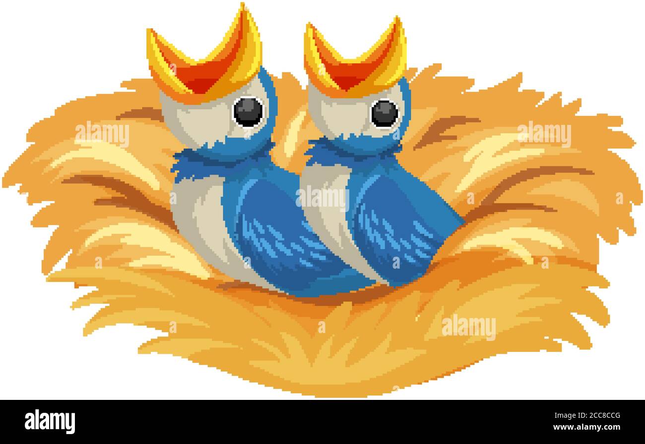 Hungry chicks cartoon character illustration Stock Vector Image & Art ...