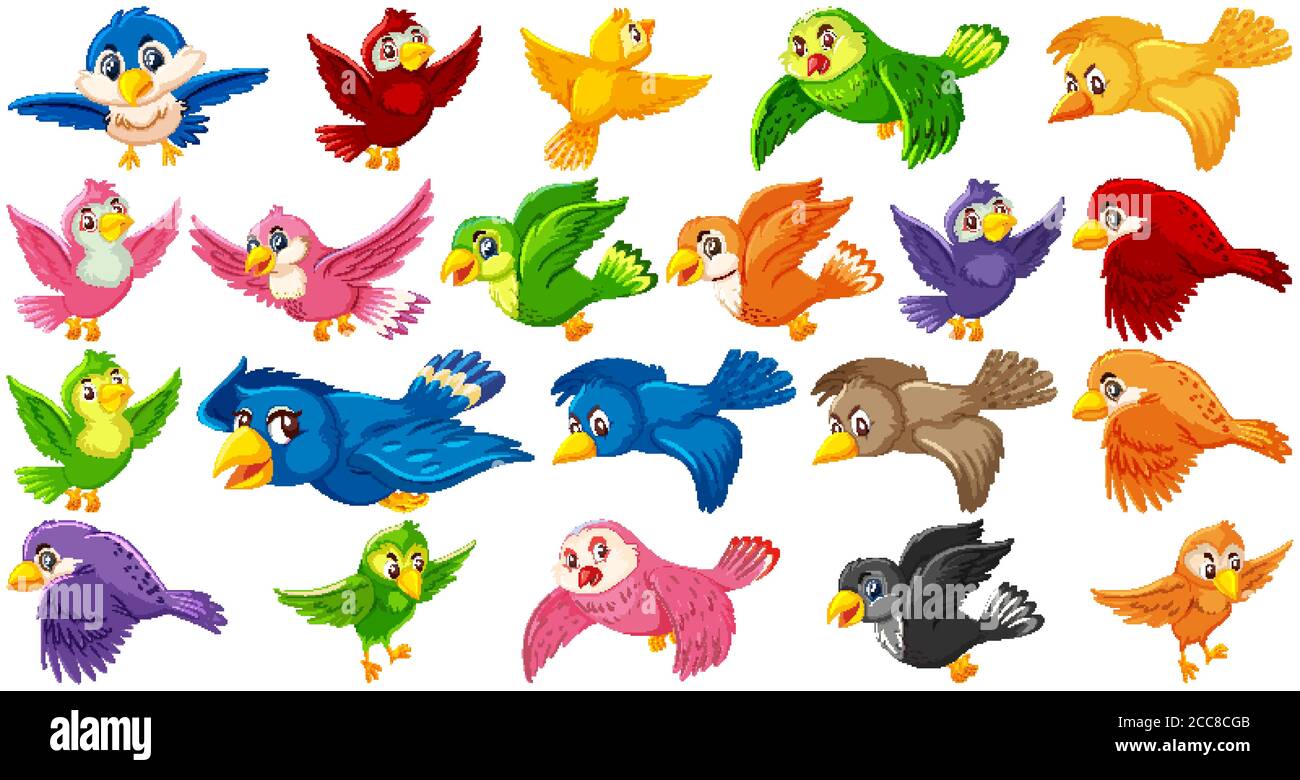 Set of bird cartoon character illustration Stock Vector Image & Art - Alamy