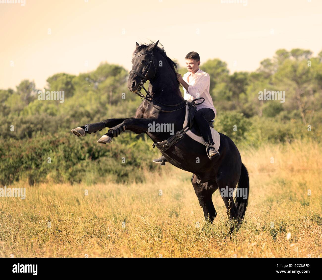riding teenager are training her black horse Stock Photo - Alamy