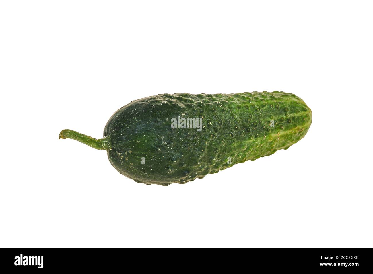 Green ripe fresh one cucumber over background Stock Photo - Alamy