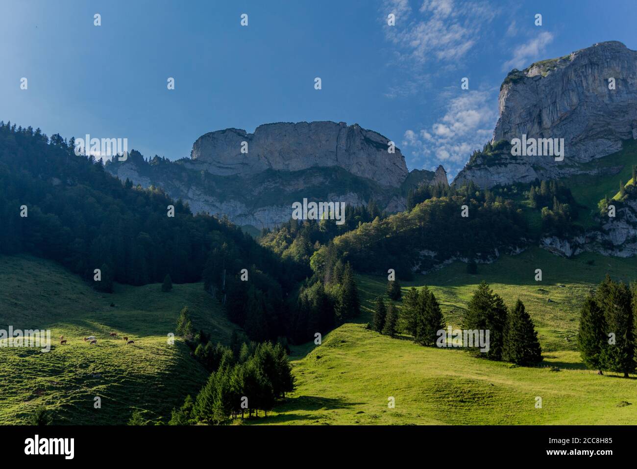 Beautiful exploration tour through the Appenzell mountains in ...