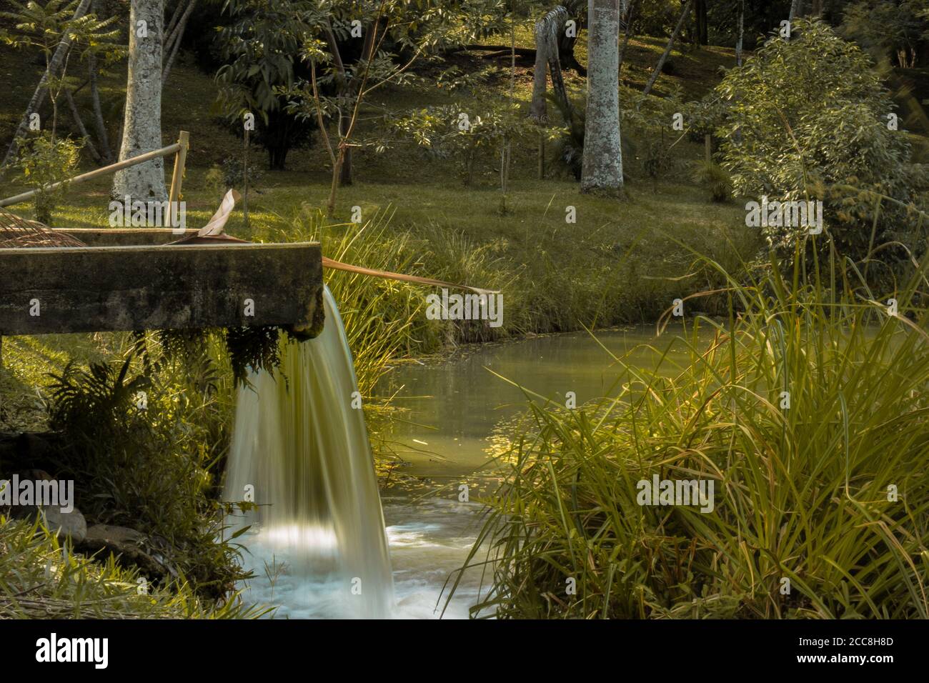 Park with water falling from a source into a pond Stock Photo - Alamy