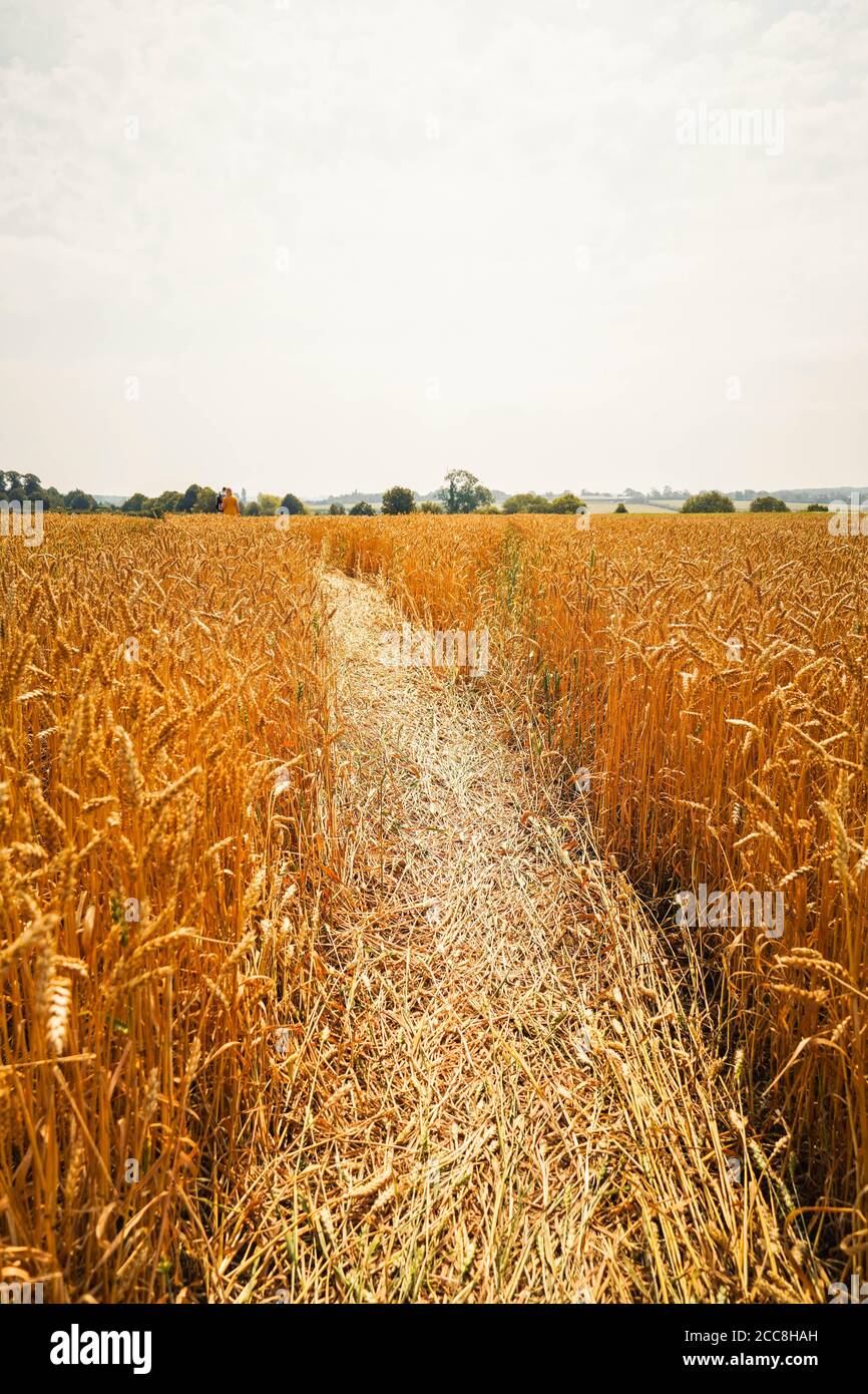 Visit to the farm hi-res stock photography and images - Alamy