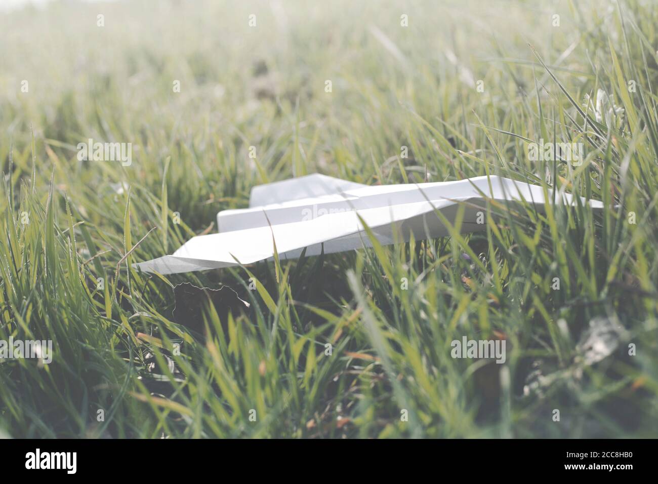 paper plane landed on a green lawn Stock Photo - Alamy