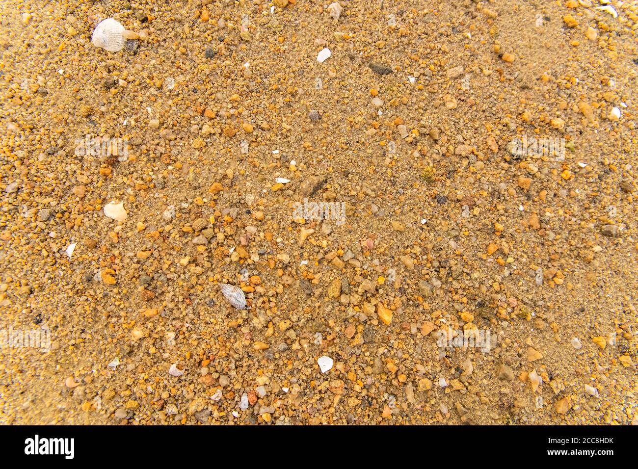 Sand on the beach in Brittany, with small shells, background Stock ...