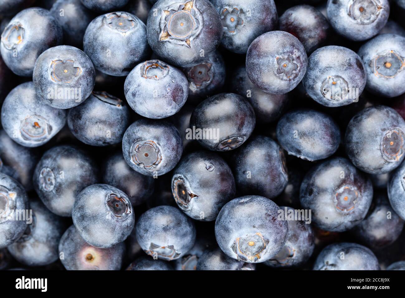 Fresh blueberries background with copy space for your text. Border ...