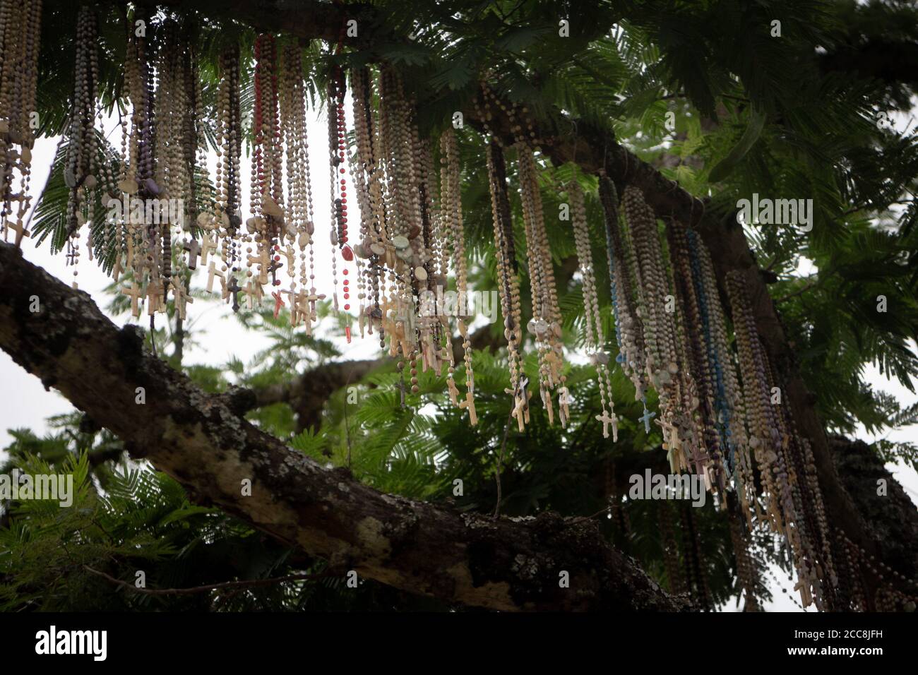 Low angle shot of sets of prayer rosaries suspended from a tree Stock ...