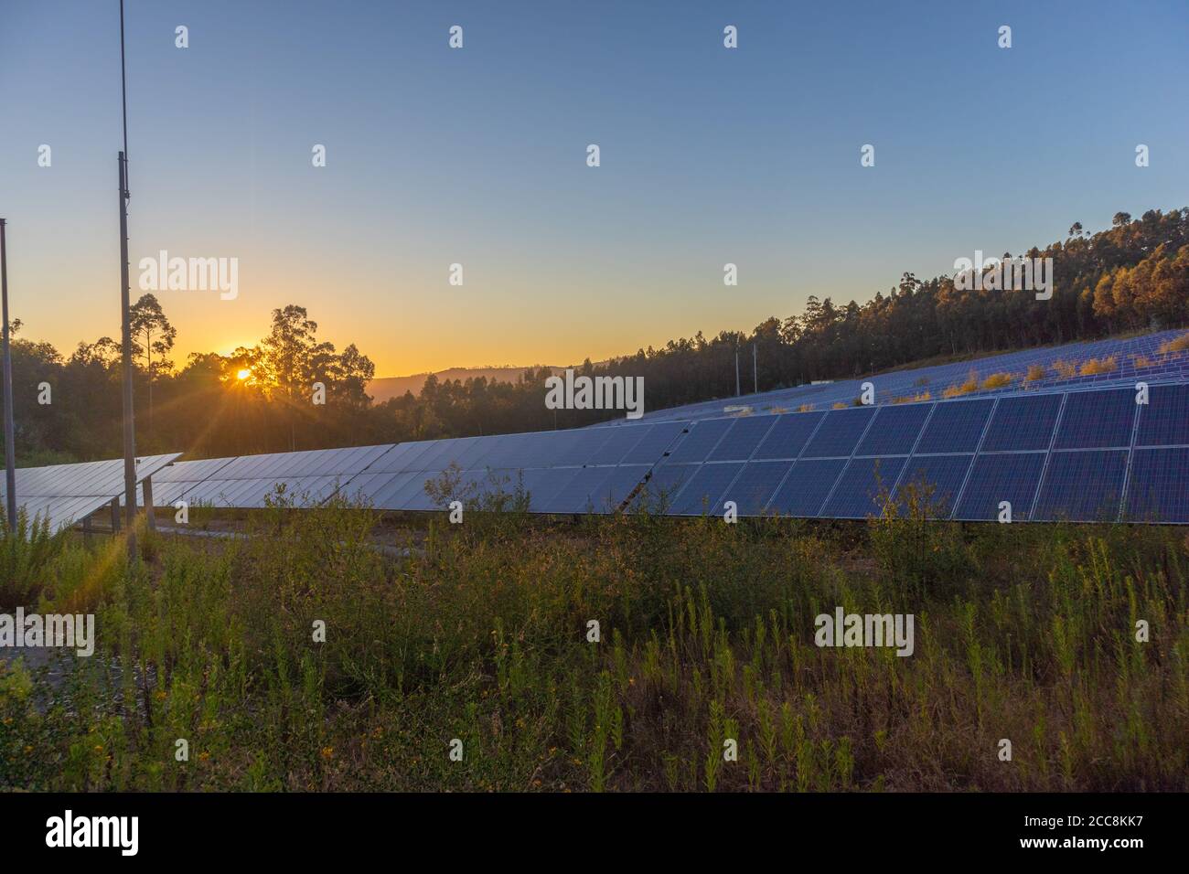 Group of solar panels during the sunset, at golden hour Stock Photo - Alamy