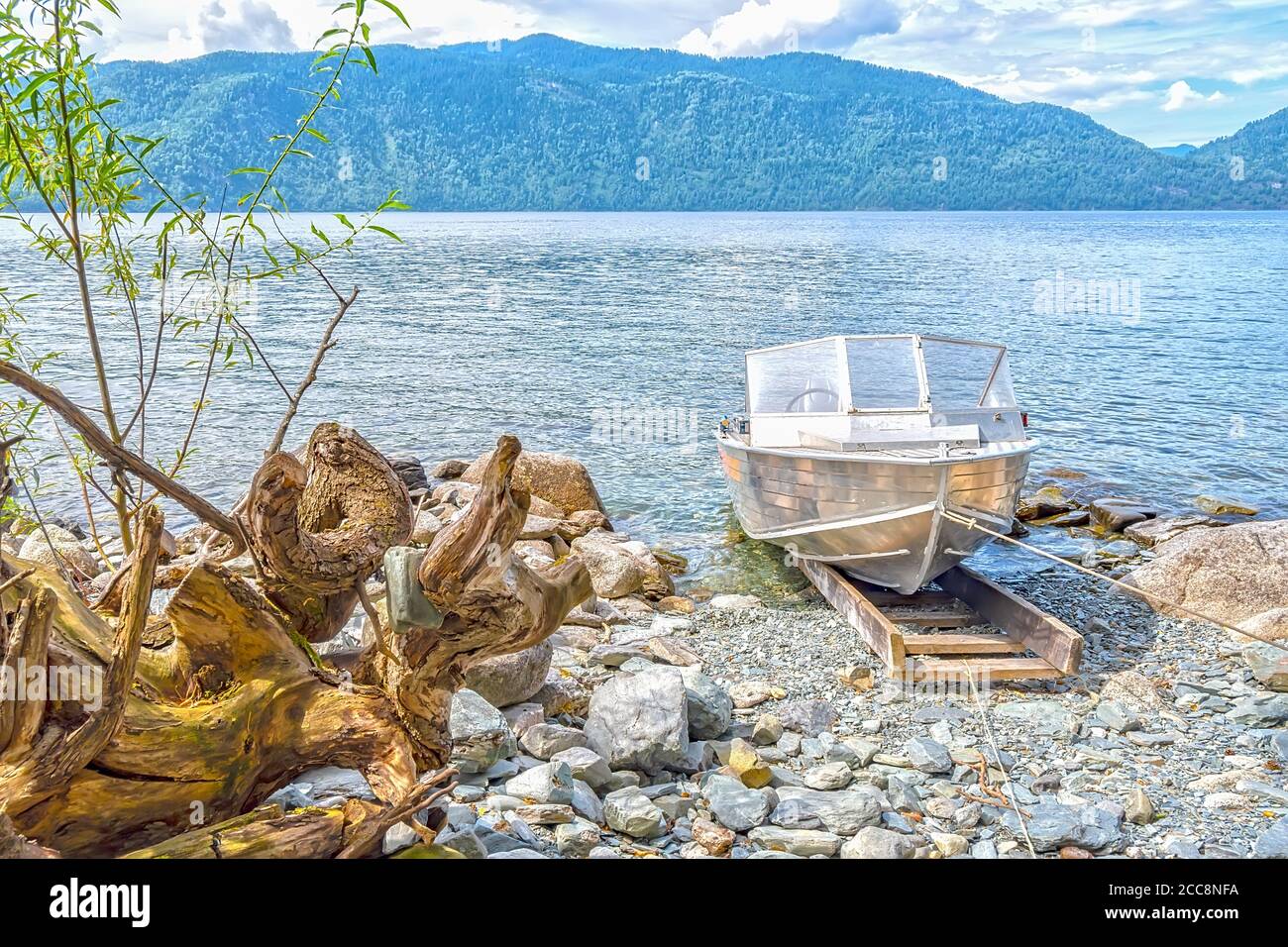 Old snag hi-res stock photography and images - Alamy