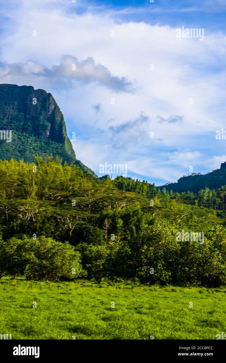 Moorea, French Polynesia: 09/03/2018: Green Park in MooreaFrench ...