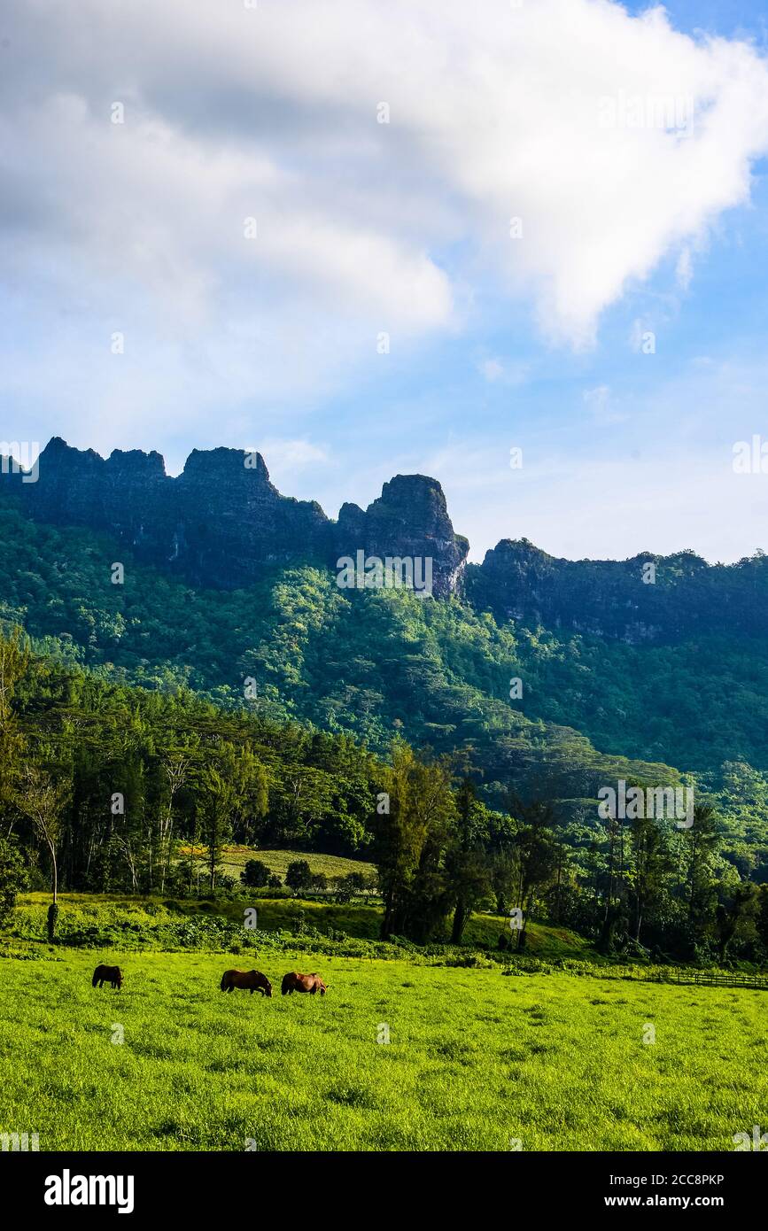 Moorea, French Polynesia: 09/03/2018: Green Park in MooreaFrench ...