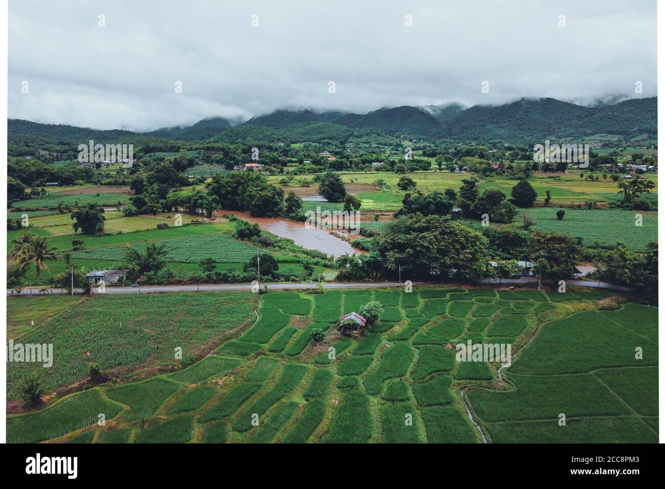 Green rice fields in the rainy season In the countryside Stock Photo ...