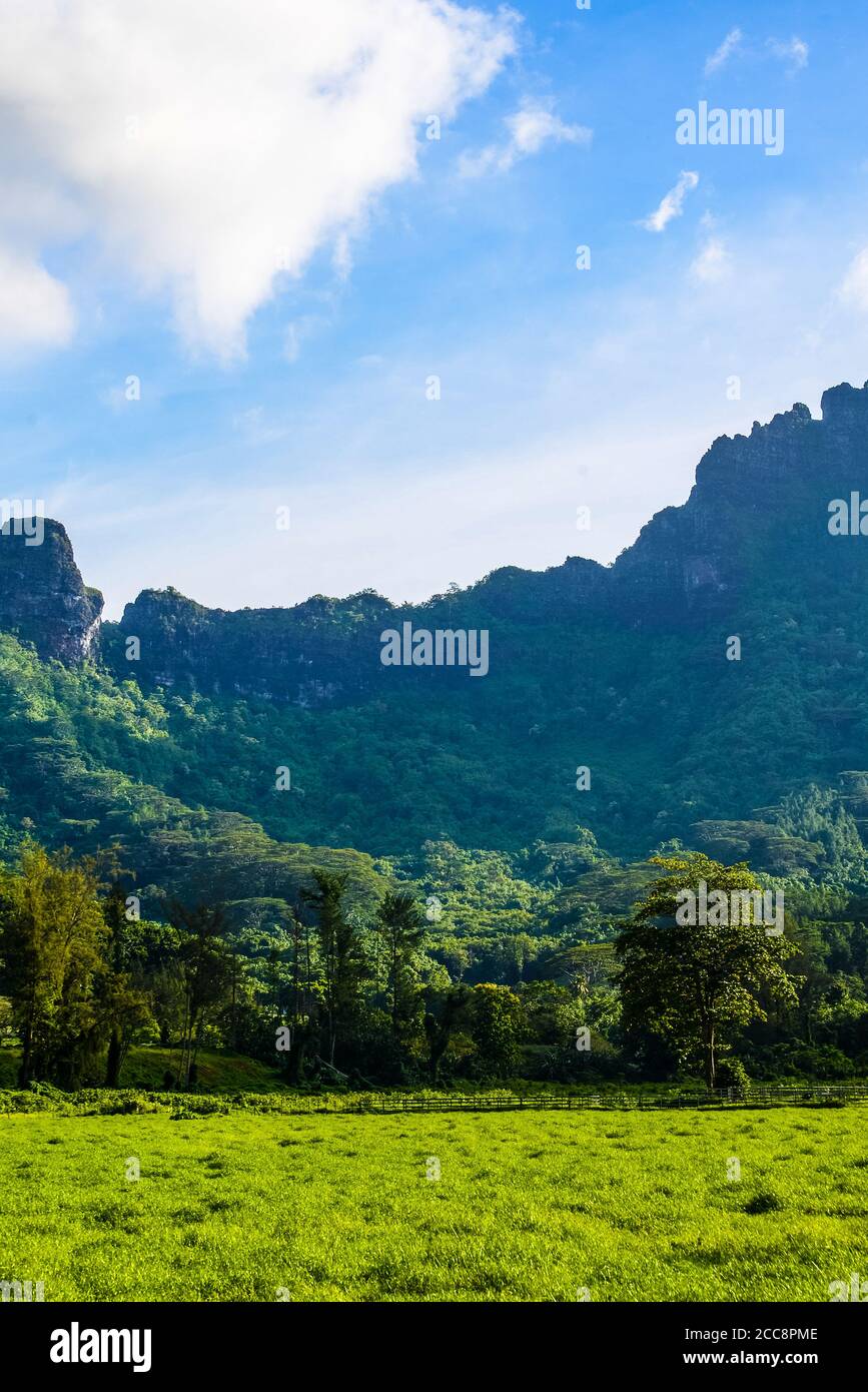 Moorea, French Polynesia: 09/03/2018: Green Park in MooreaFrench ...