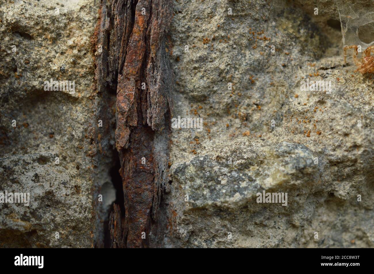 Corrosion of reinforcing steel and other embedded metals is the leading ...