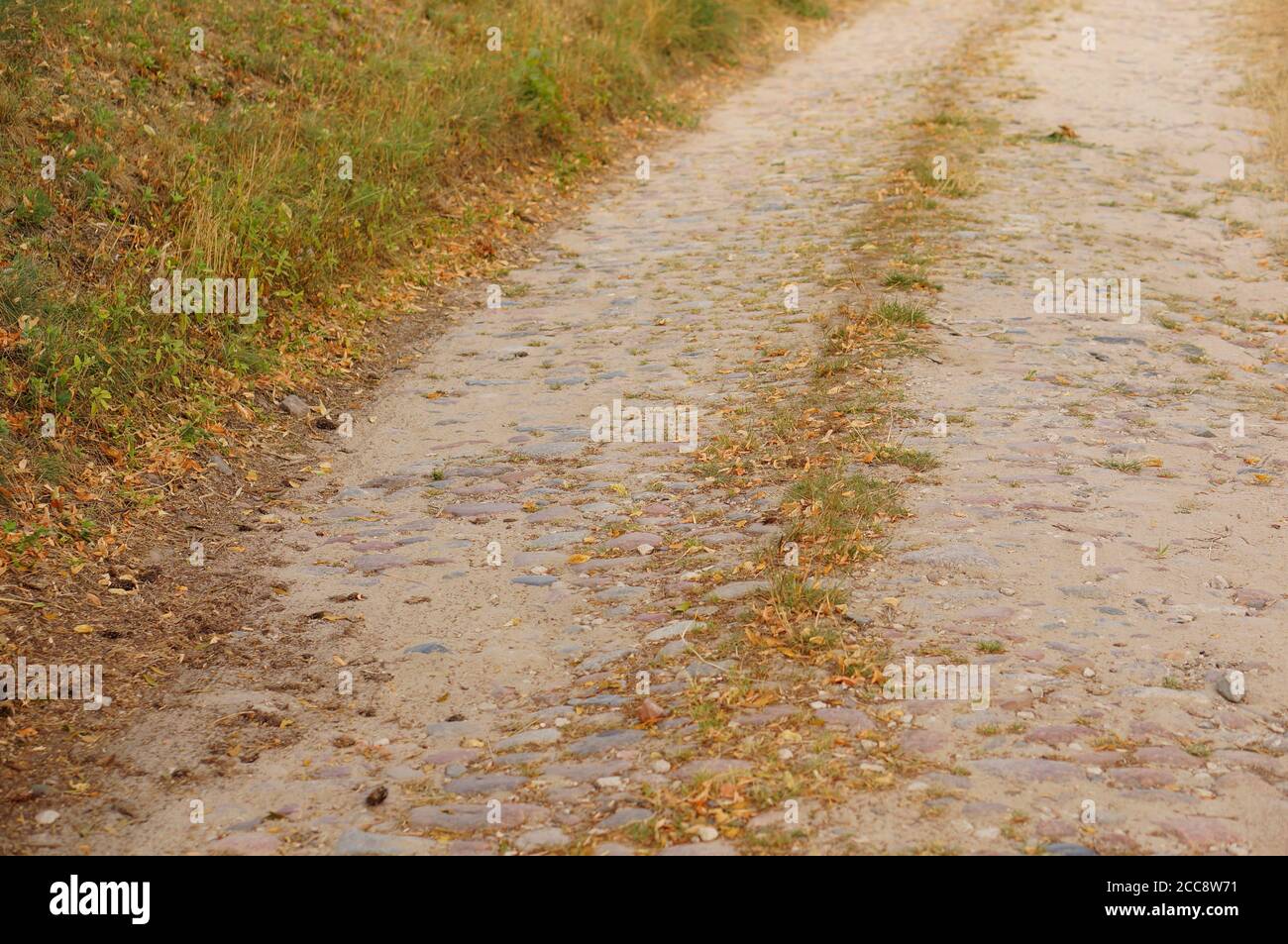 Shot of an old road with grass alongside Stock Photo - Alamy