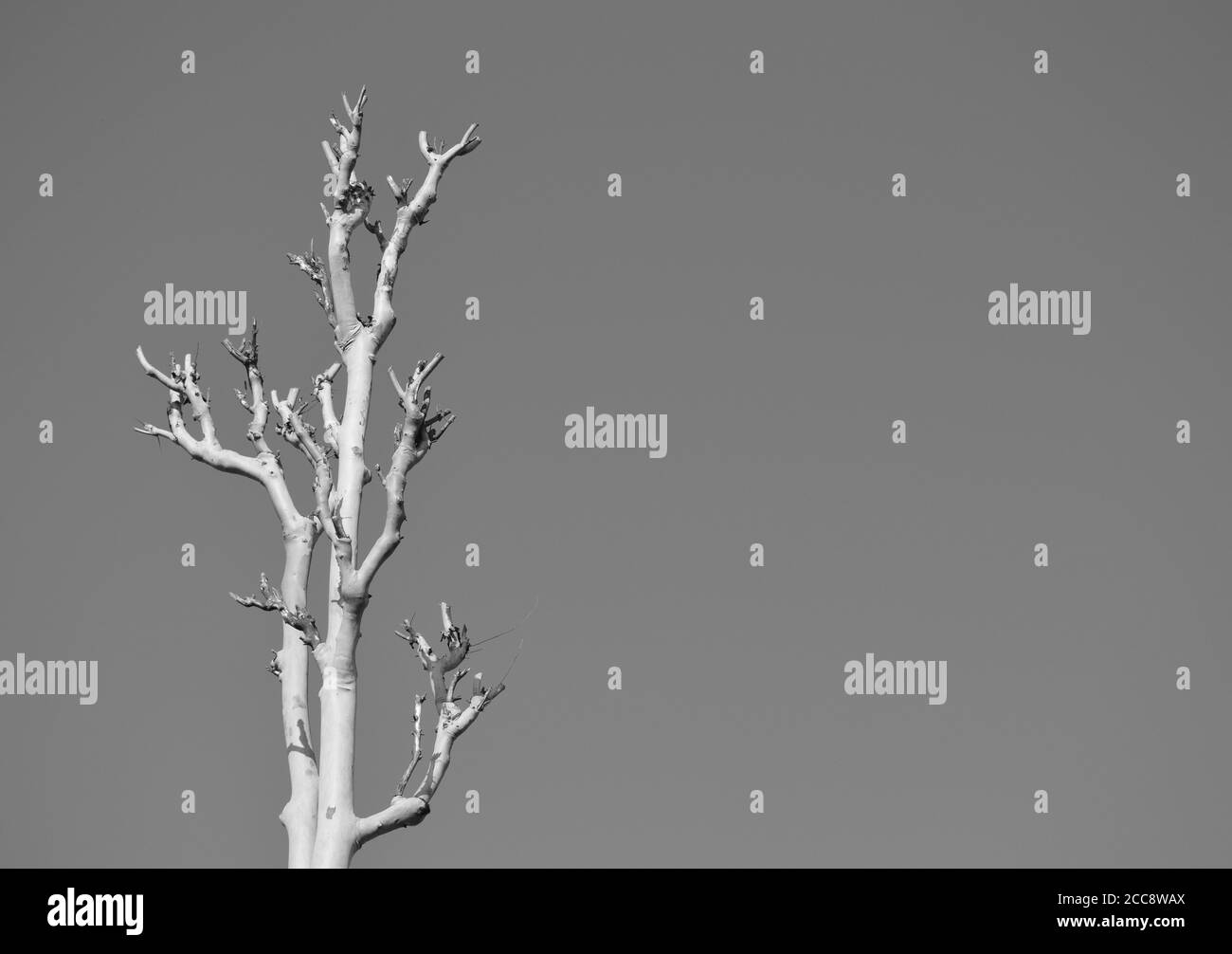 Sky without cloud Black and White Stock Photos & Images - Alamy