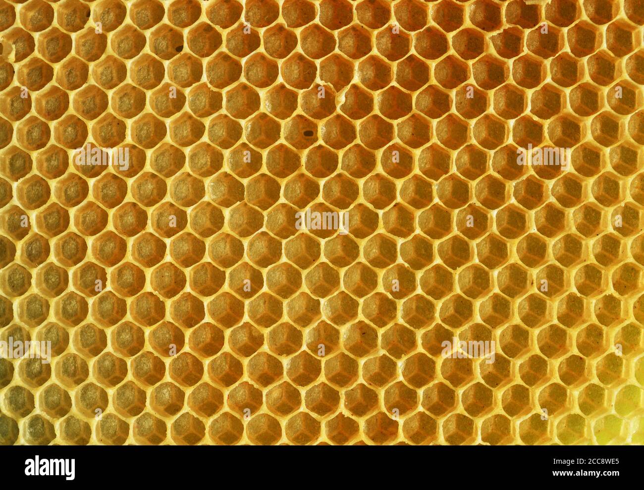 Hexagonal prismatic wax cells hi-res stock photography and images - Alamy