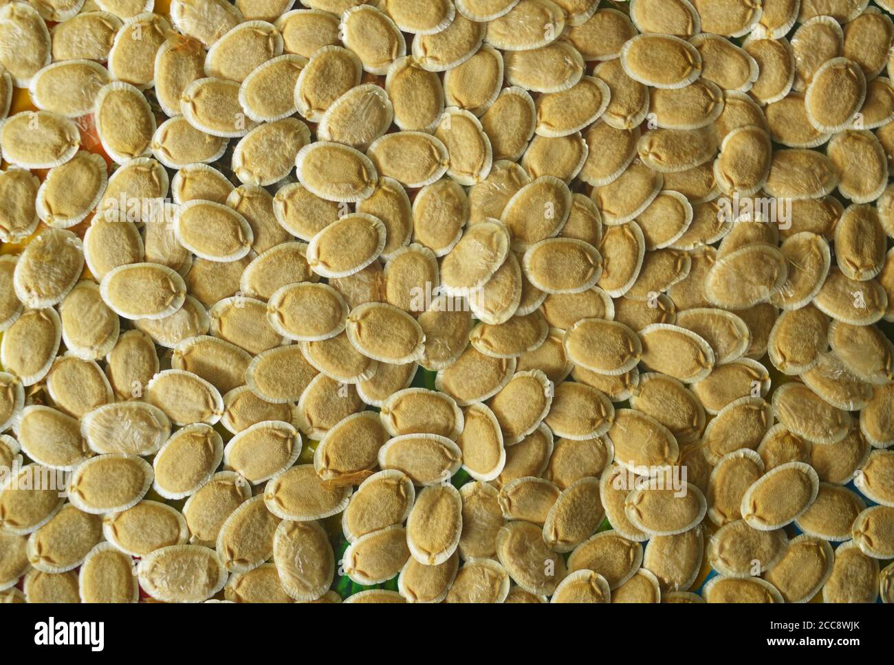 pattern formed with multiple wild seeds Stock Photo - Alamy