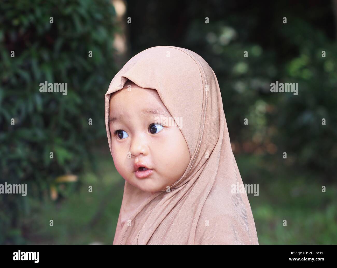 Indonesian leafs hi-res stock photography and images - Alamy