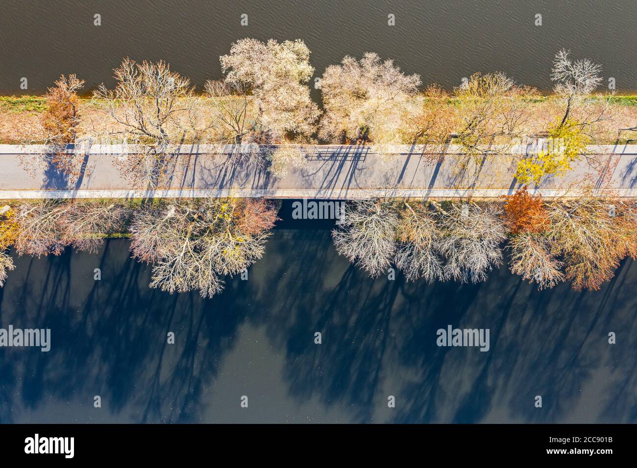 road through lake surrounded by leafless trees. long trees shadows on ...