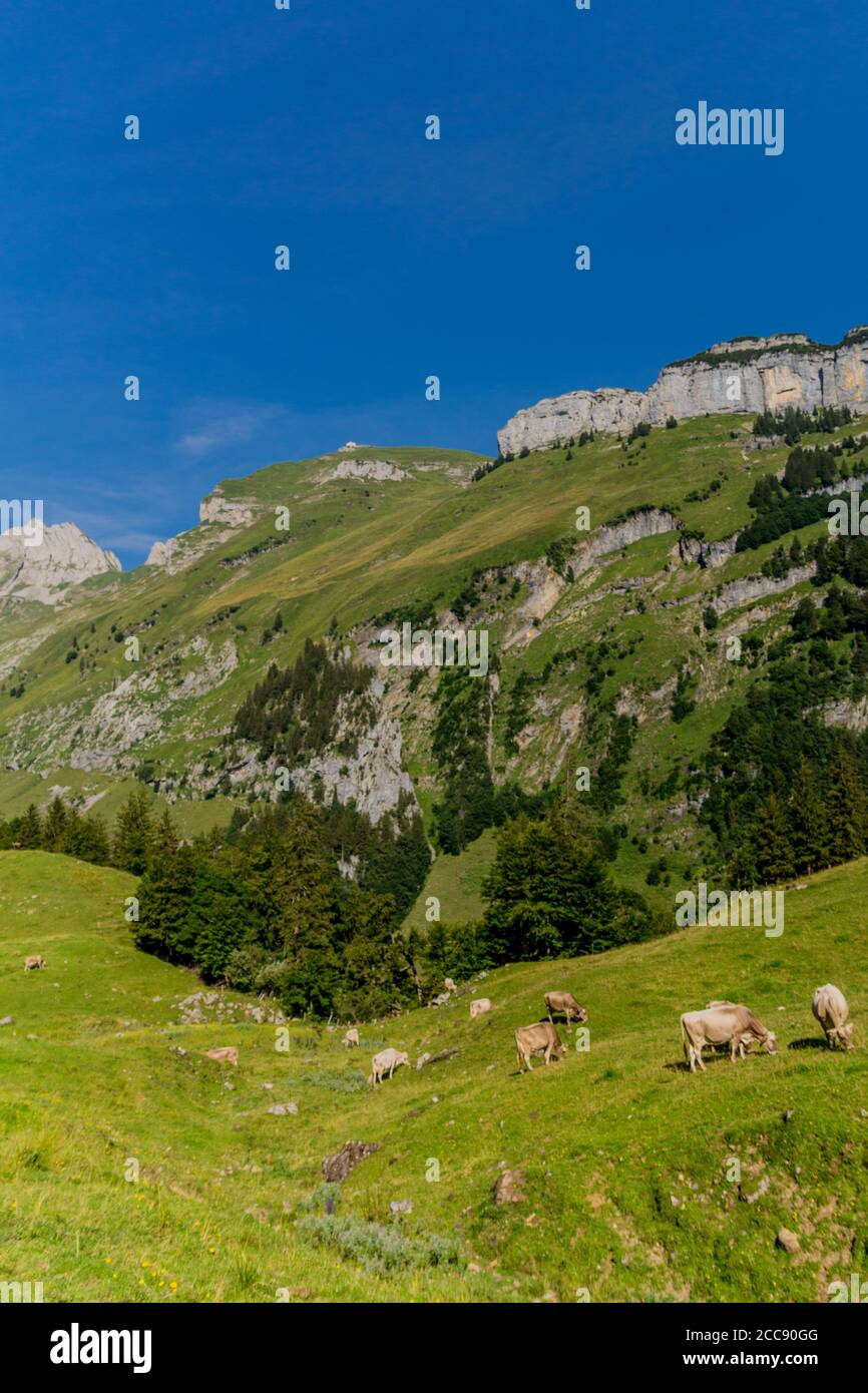 Beautiful exploration tour through the Appenzell mountains in ...