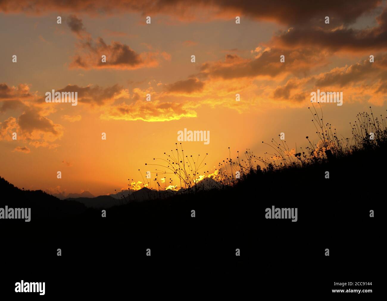 Best place to visit georgia hi-res stock photography and images - Alamy