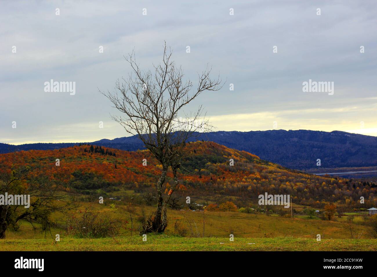 Mountain landscape and beautiful view in Georgia Stock Photo - Alamy