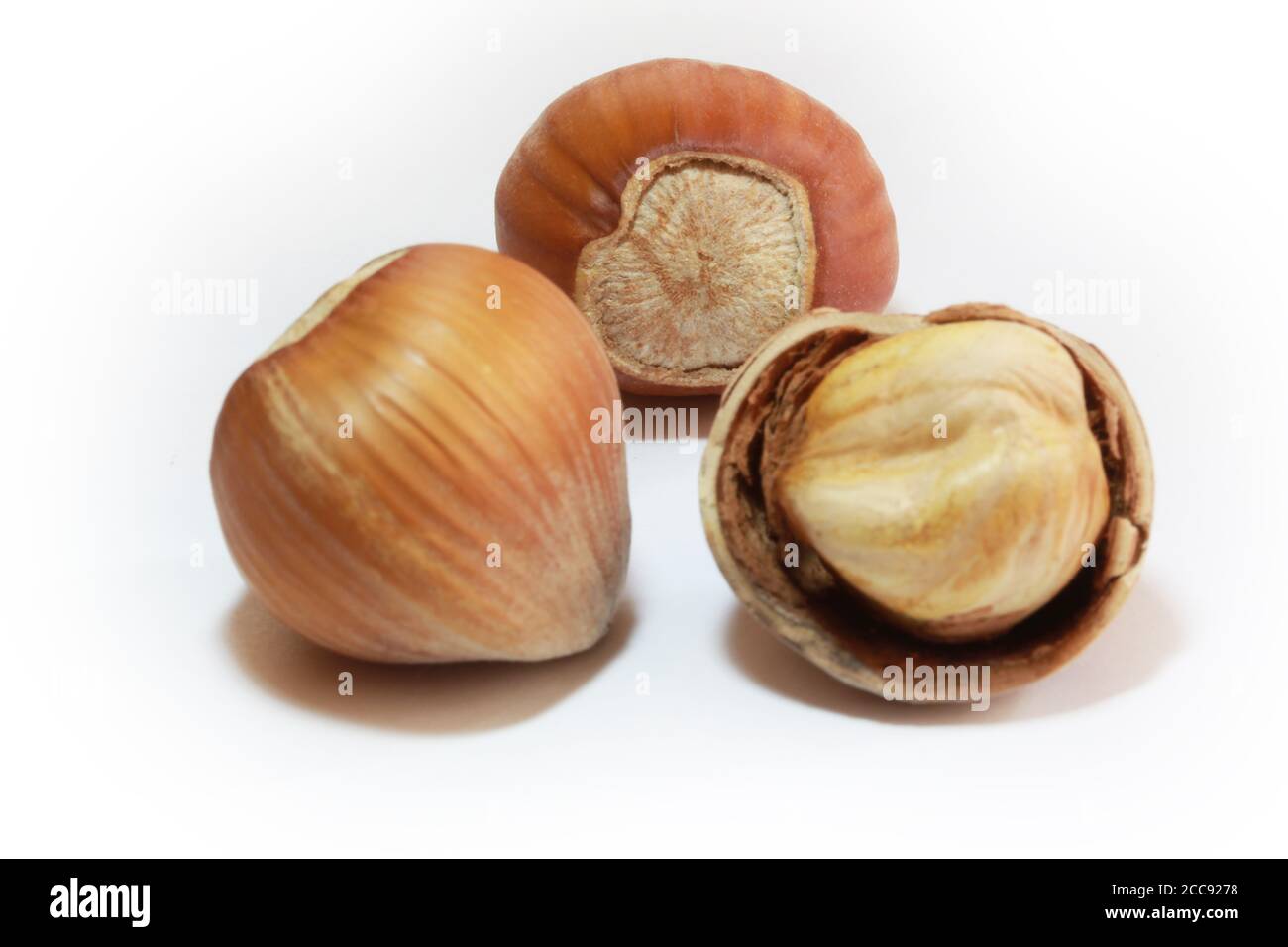 Hazelnut tree turkey hi-res stock photography and images - Alamy