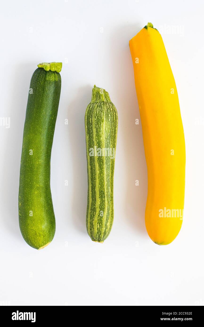 Three zucchini in different variety and colors, representing a ...