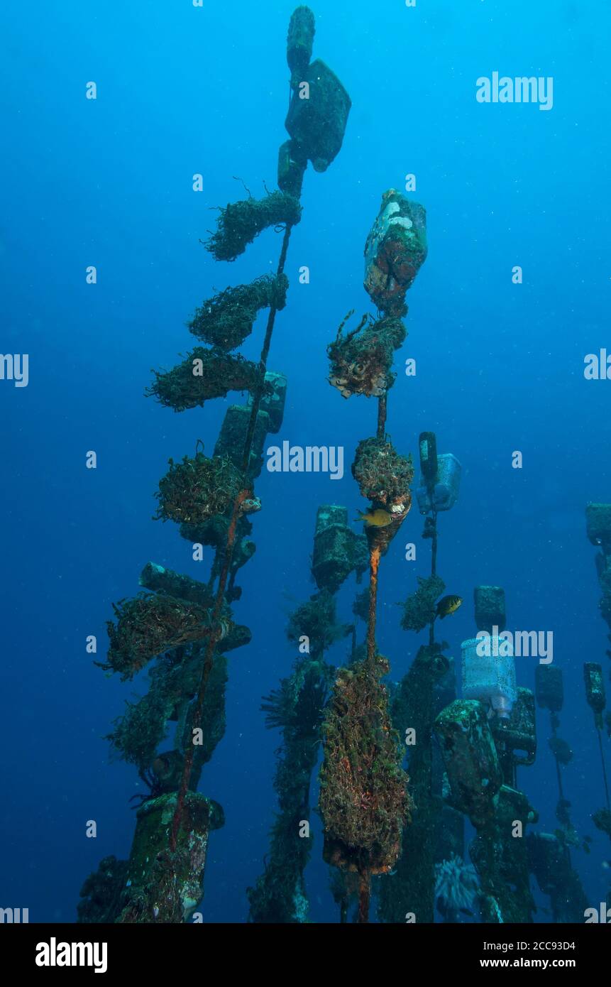 Man made fish hi-res stock photography and images - Alamy