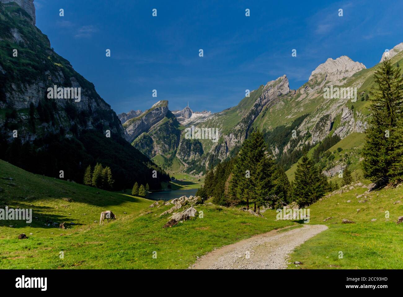 Beautiful exploration tour through the Appenzell mountains in ...